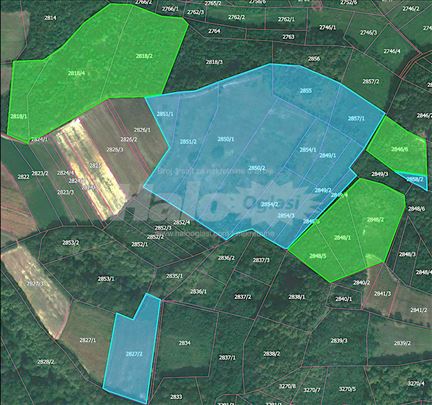 Njive/Sume 13,1 Ha