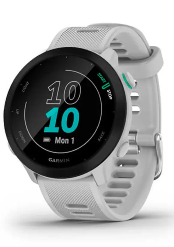 Garmin pametni sat Foreraner 55stoun, sivi