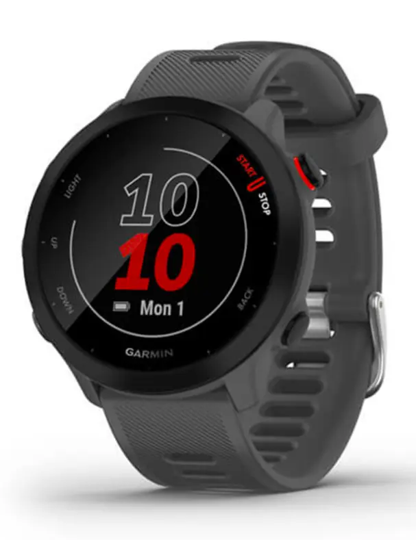Garmin pametni sat Forraner 55 Montera, siva boјa