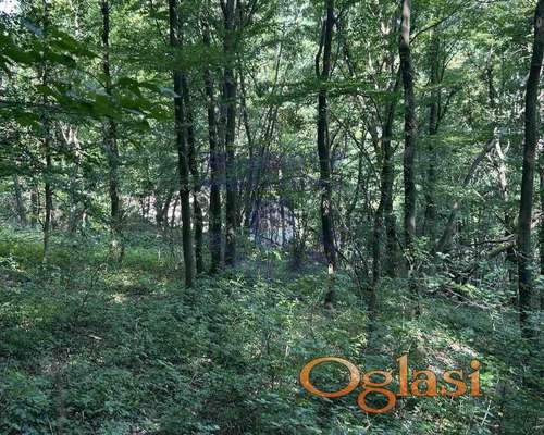 Plac u Ledincima - 3220 m2