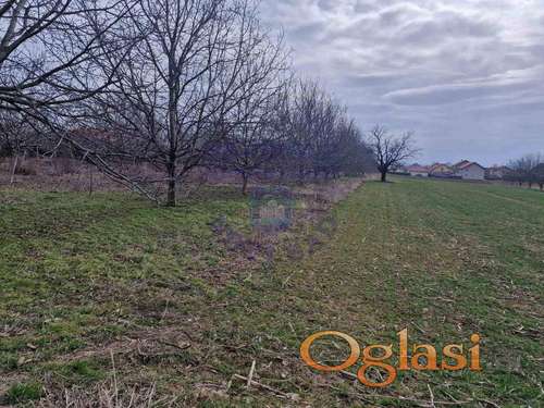 ODLICAN PLAC U LEPOM DELU FRUSKE GORE!
