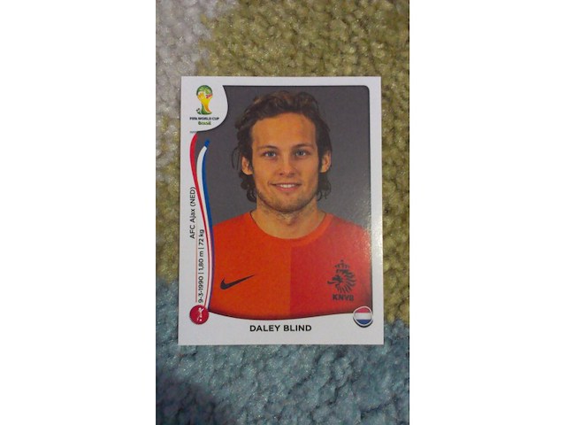 Panini FIFA 2014 Brazil sličica broj 134
