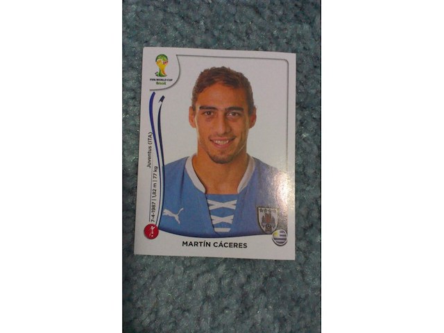 Panini FIFA 2014 Brazil sličica broj 266