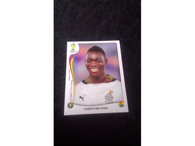 Panini FIFA 2014 Brazil sličica broj 541