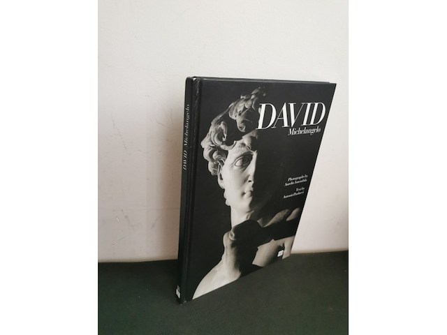 DAVID Michelangelo
