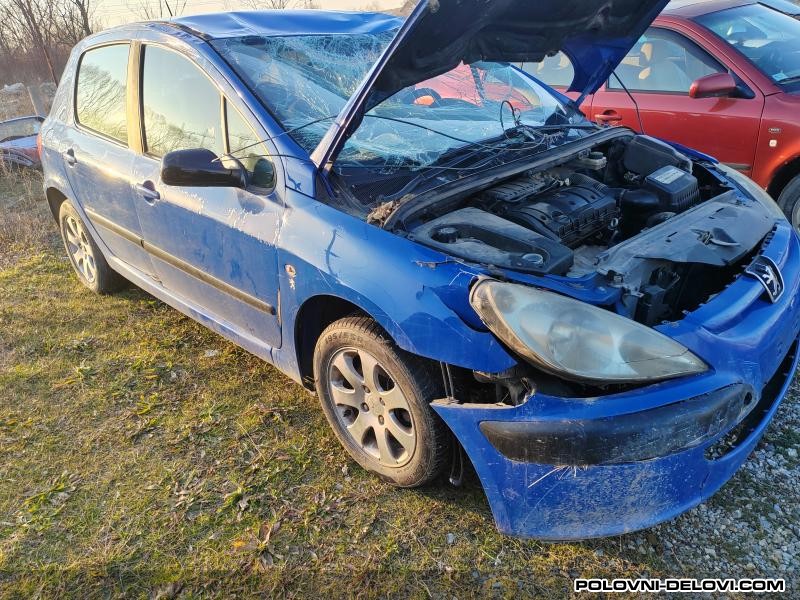 Peugeot 307 1.6 B Kompletan Auto U Delovima