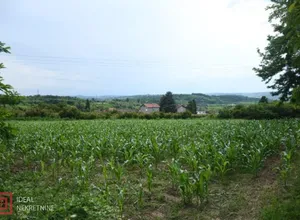 Prodaja Građevinsko zemljište - Beograd, Grocka: Boleč - Zaklopača - Ritopek