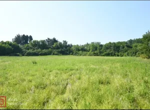 Prodaja Građevinsko zemljište - Beograd, Grocka: Vrčin - Begaljica - Umčari