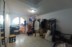 Atelje 212, mereno 40m2 ID#11228