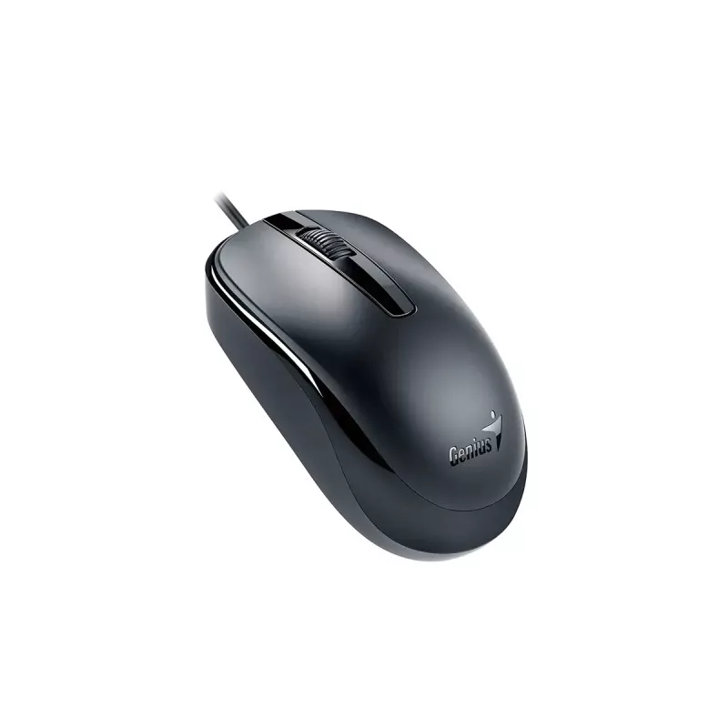GENIUS DX-120 USB-C Optical crni miš