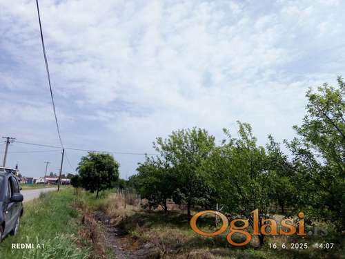 Ilinci plac 2153m2 pod voćnjakom gradjevinsko HITNO!