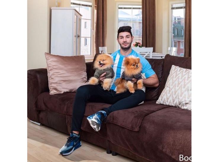 Pomeranac Boo medvedic