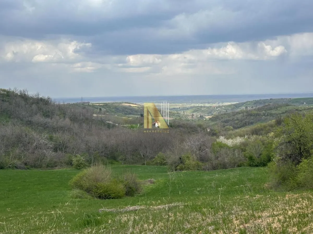 Prodaja, zemljište, 98m2, Novi Sad
