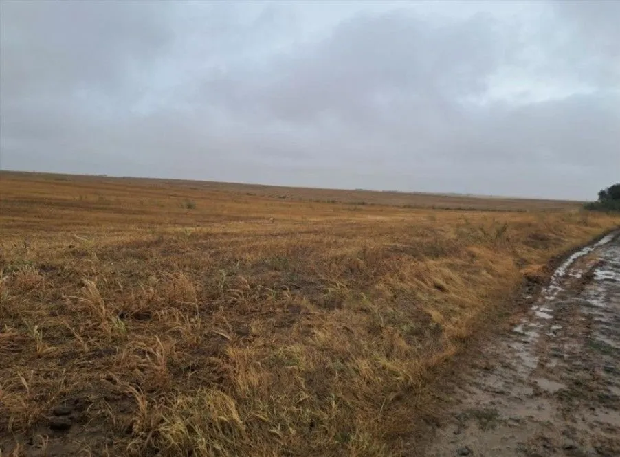 Prodaja, zemljište, 45000m2, Irig
