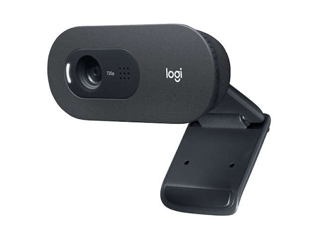 Web camera Logitech C505e 960-001372