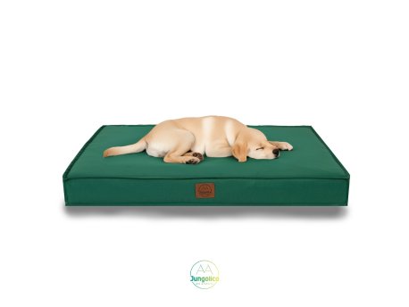 WALLXPERT Pet Bed Eva Garden Dog XL