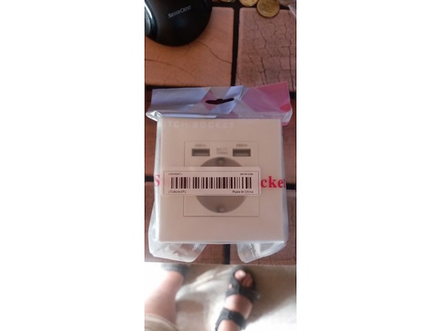 Šuko utičnica sa 2 USB-a (Rakovica)