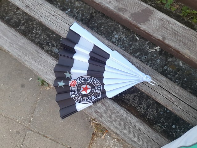 Lepeza Fk Partizan