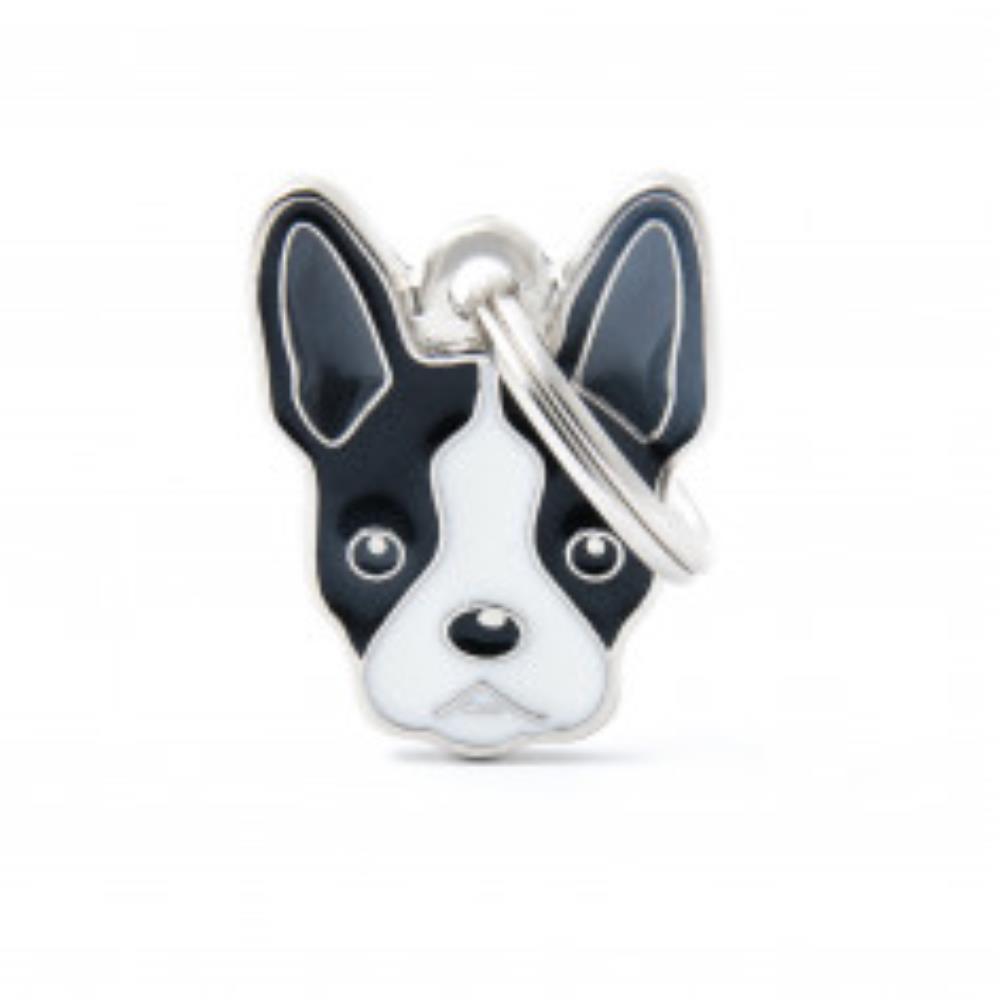 BOSTON TERRIER