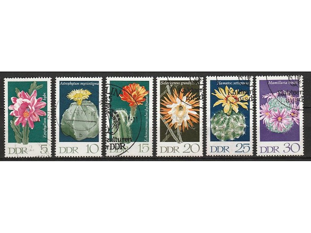 DDR - 1970 - Kaktusi