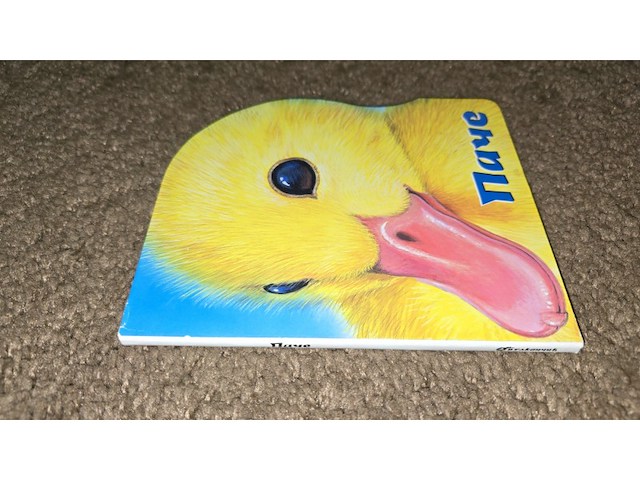 Pače
