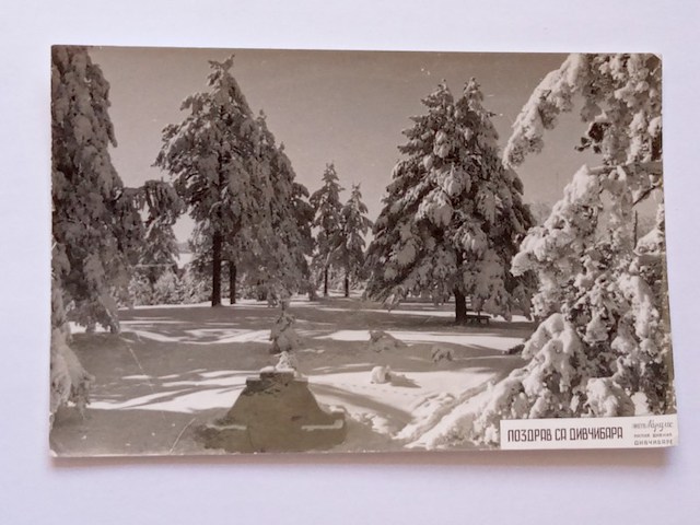 Divčibare - Valjevo - Foto Narcis - Čista