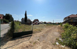 Smederevo - Carina - 10 ari ID#24310