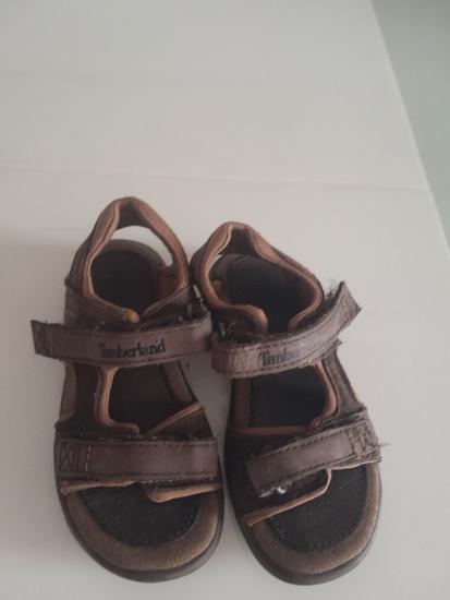 ***Timberland***
