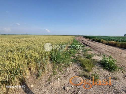 INĐIJA - CENTAR - 50000.00 m2