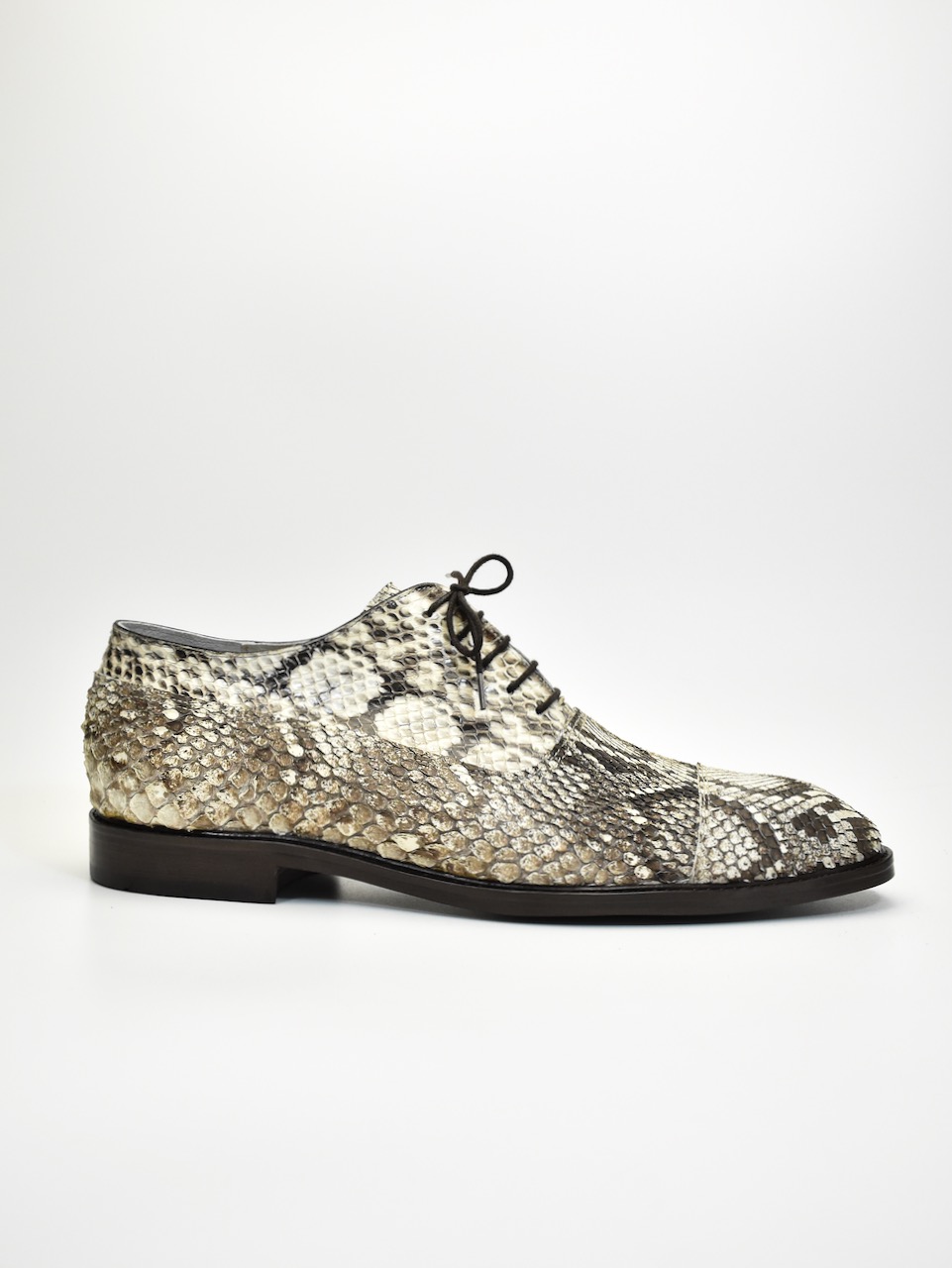 The Duke – Python Limited