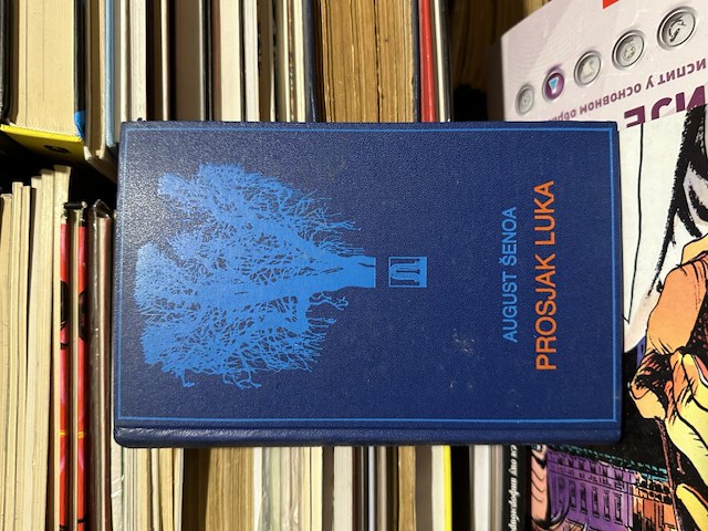 AUGUST ŠENOA - Prosjak Luka