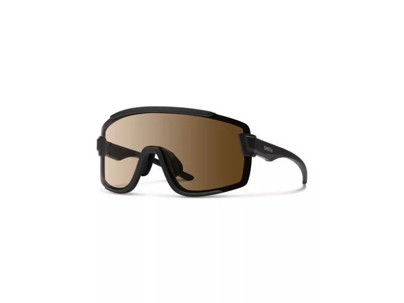 Smith Naočare za sunce SM Wildcat 003/B6