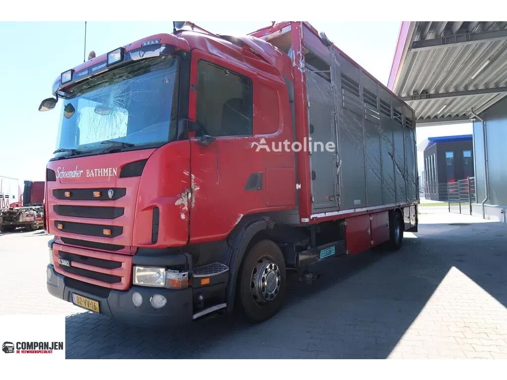 Scania G380 - Schade - Damage - Schäden kamion za prevoz stoke nakon udesa