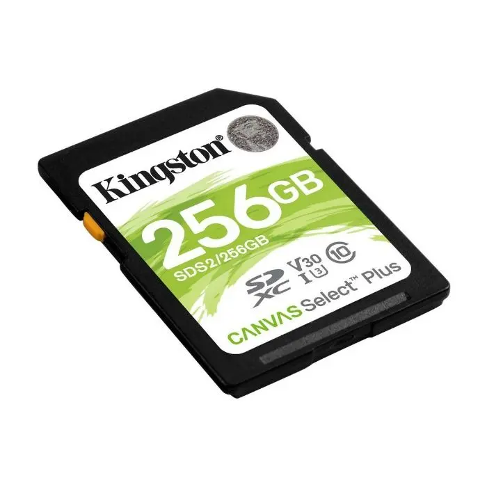 Kingston MEMORIJSKA KARTICA SDS2/256GB