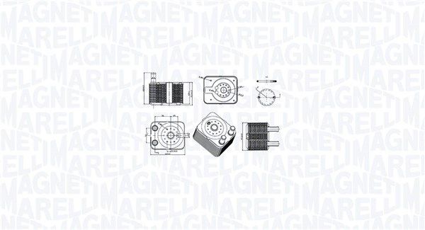 Uljni hladnjak, ulje za motor MAGNETI MARELLI 350300003100