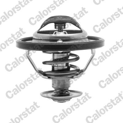 Termostat, rashladna tečnost CALORSTAT by Vernet TH6311.82J
