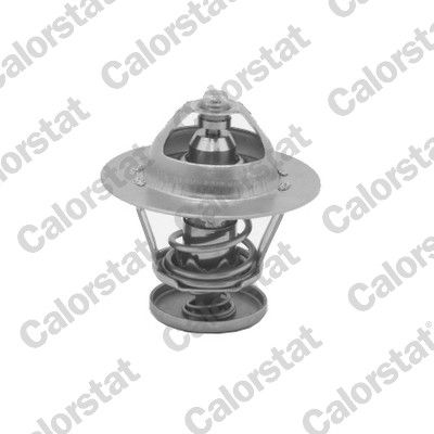 Termostat, rashladna tečnost CALORSTAT by Vernet TH5077.88J