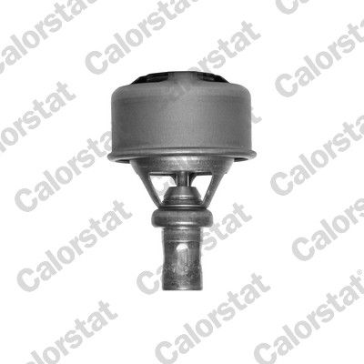 Termostat, rashladna tečnost CALORSTAT by Vernet TH4495.86