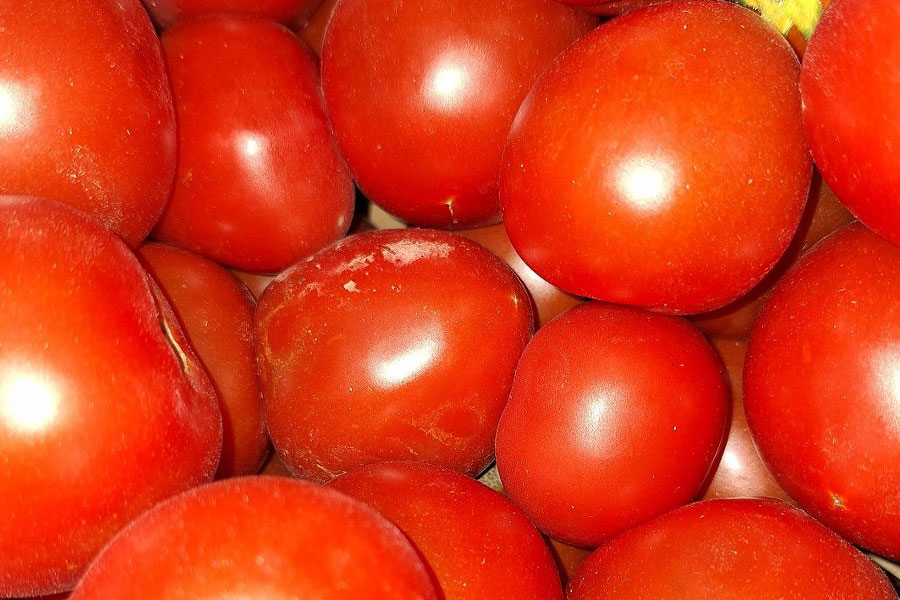 Paradajz Jabučar Bejbi