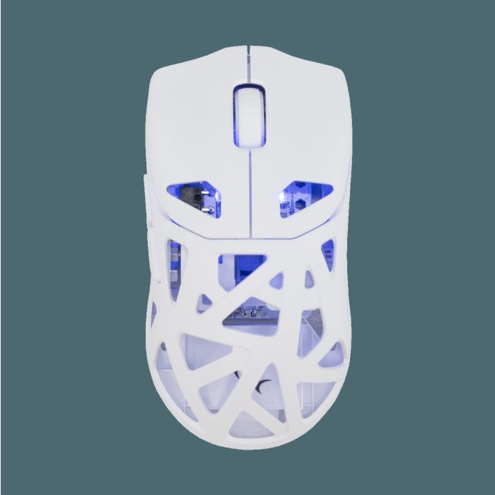 WS WGM 5019 DAGONET, BT/Wireless Mouse White