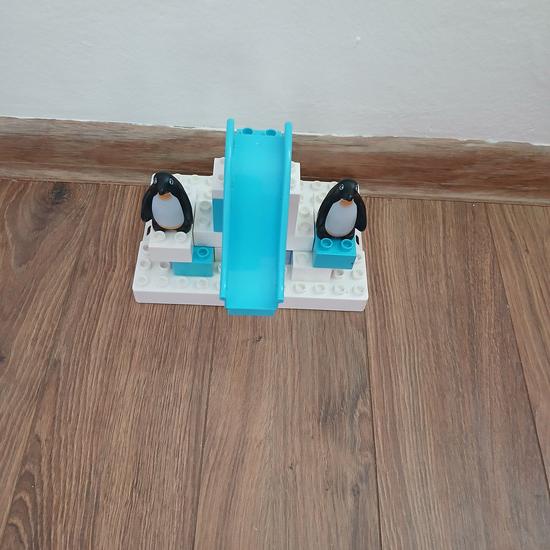Kocke pingvini antartik