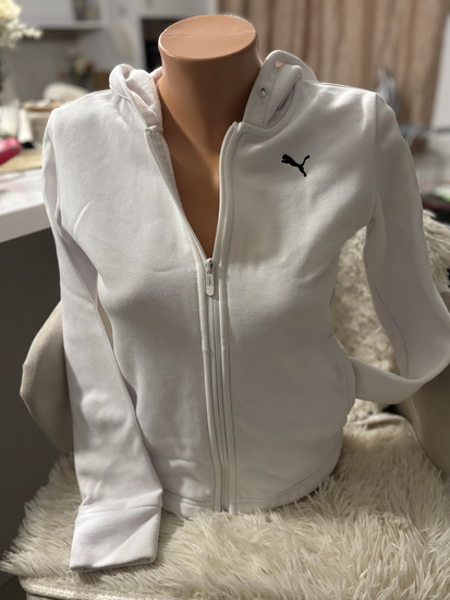 Puma gornjak