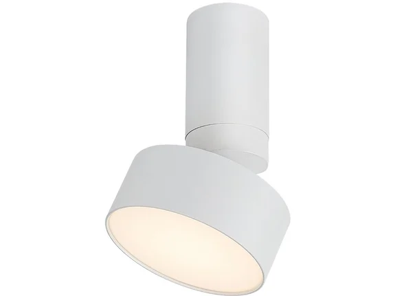 Rabalux LED Nadgradni spot podesiv Ovidia 10W 3000K