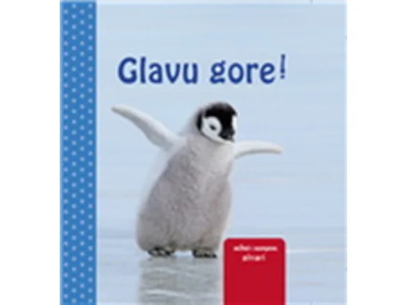 GROH mini Glavu gore - Dorotea Bleker