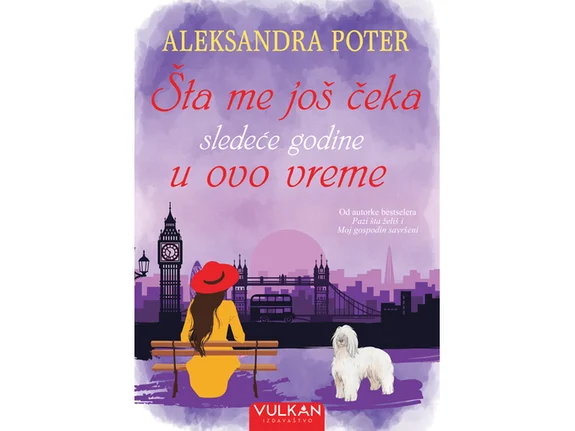 Šta me još čeka sledeće godine u ovo vreme - Aleksandra Poter