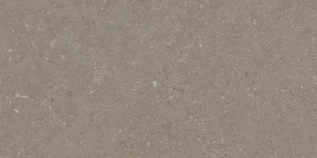 Natural Taupe 30×60