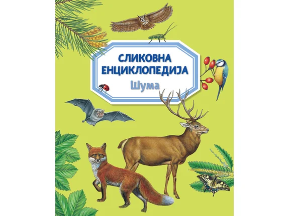 Slikovna enciklopedija: Šuma - grupa autora