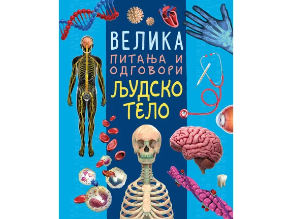 Velika pitanja i odgovori: Ljudsko telo - grupa autora