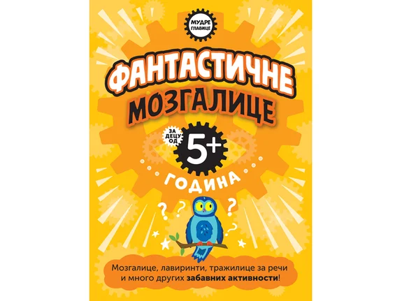 Mudre glavice: Fantastične mozgalice za decu od 5+ godina - grupa autora