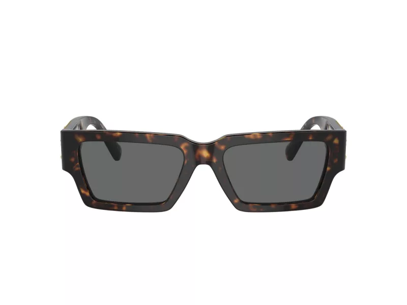 Versace Naočare za sunce VE 4459 108/87